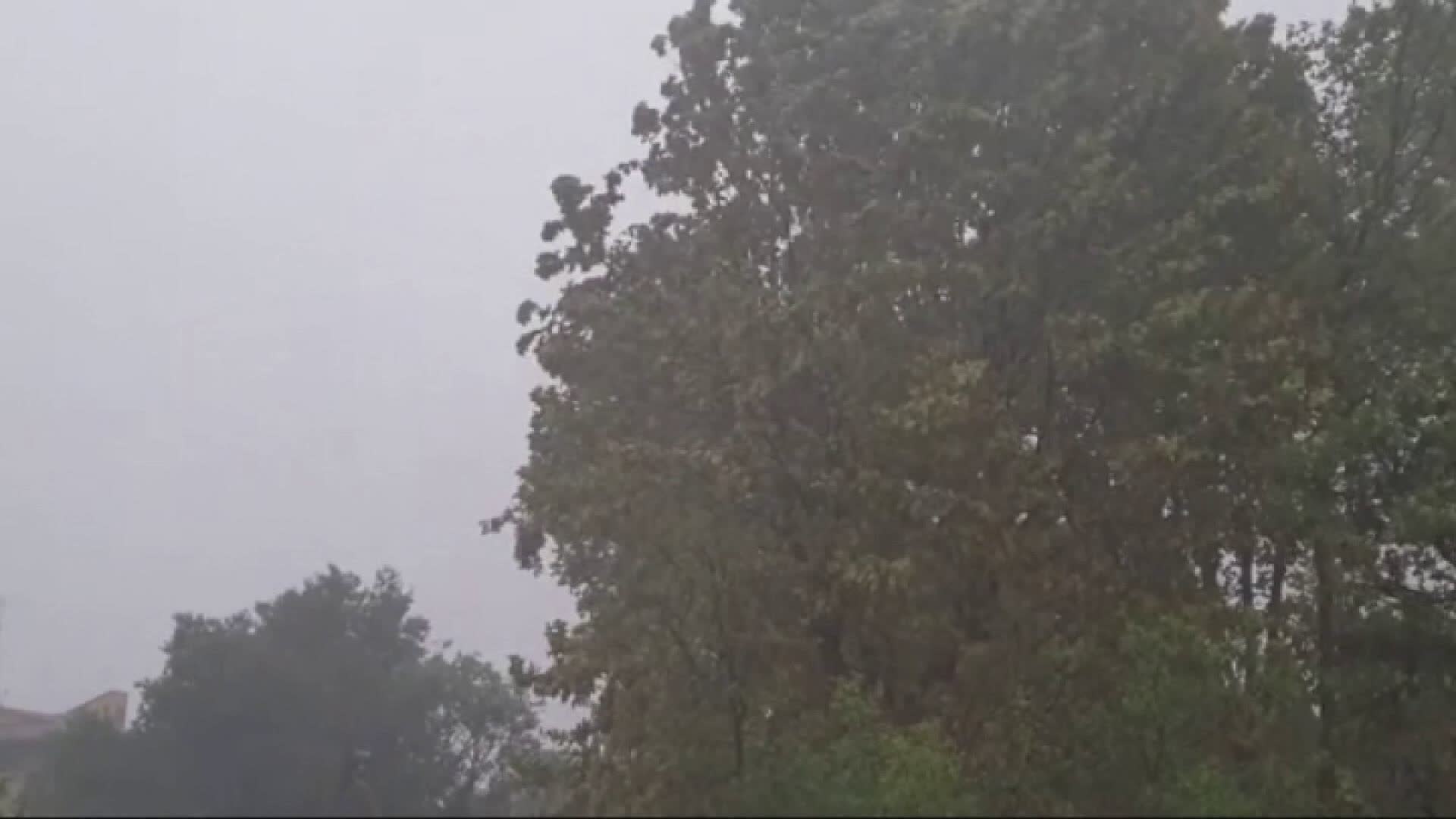 Nubifragi nel Grossetano, strade allagate e alberi caduti · - Toscana Tv